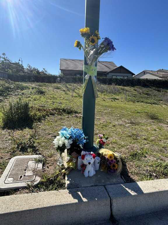 Marina police shoot and kill man during traffic stop, DA investigates