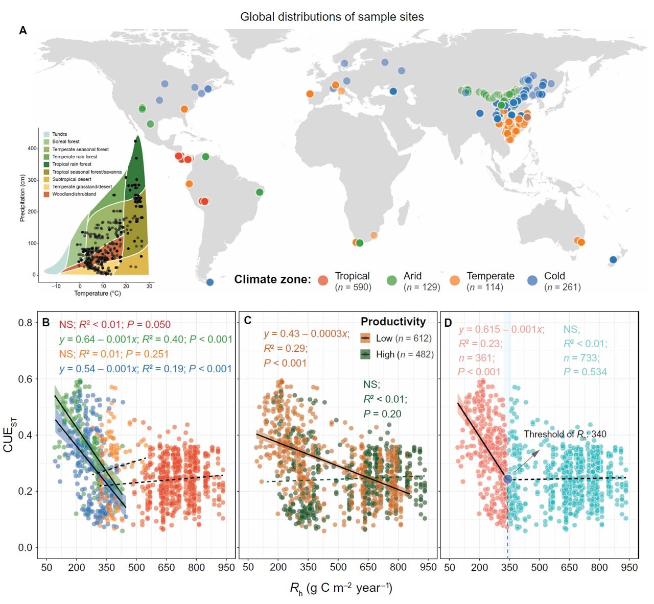 Ecosystem productivity shapes how soil microbes store or release carbon, challenging old assumptions