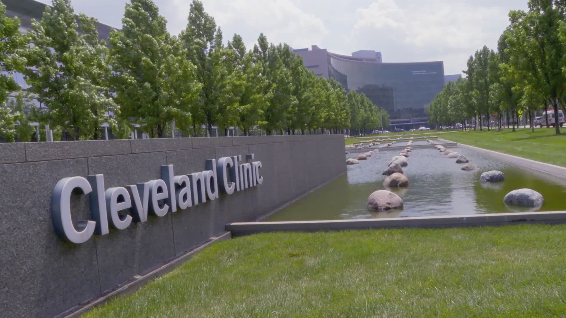 Why children have a higher flu risk