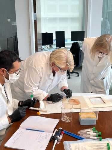 Genetic clues may be hiding in Leonardo da Vinci's artwork