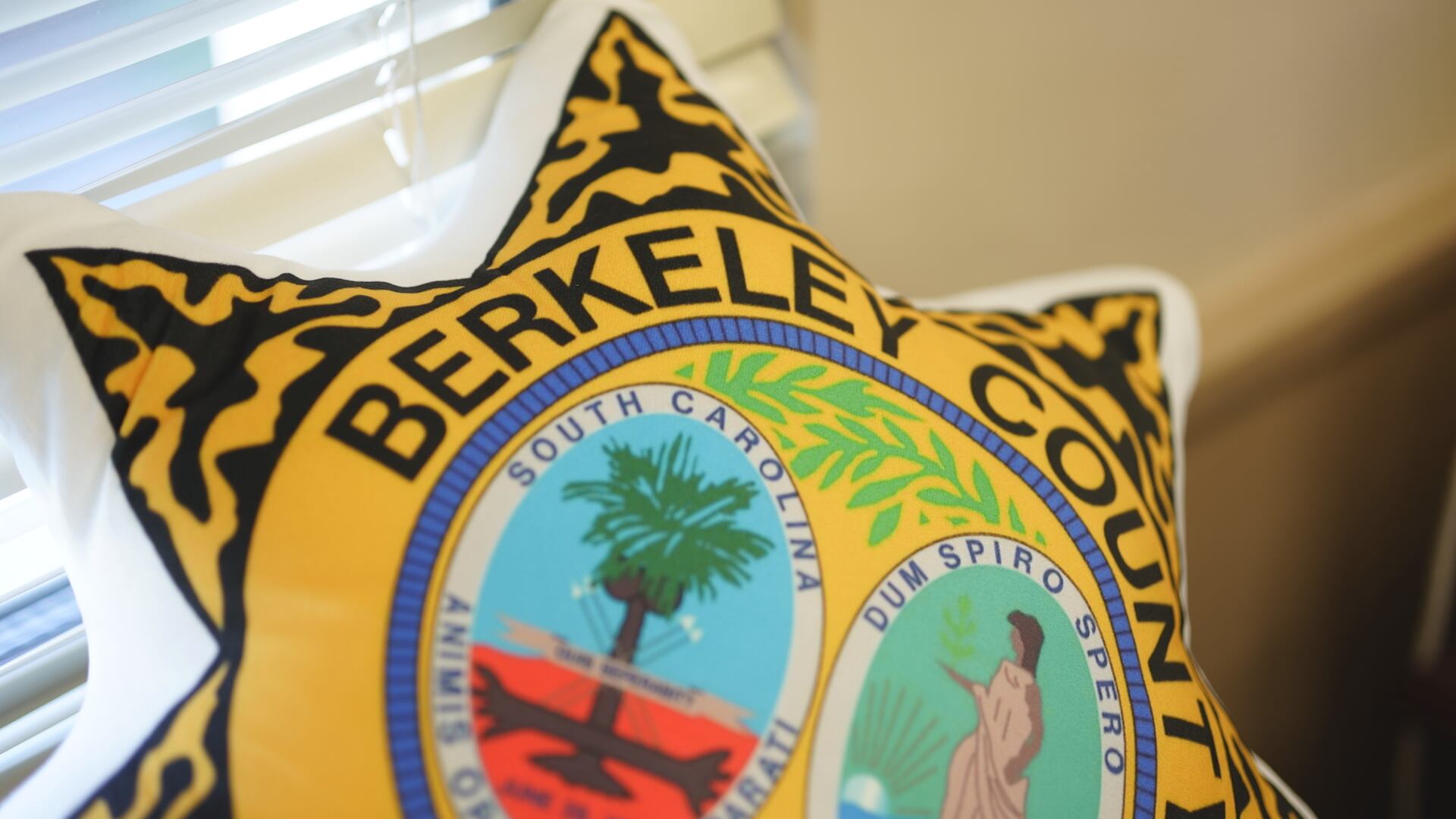 Berkeley County implements federal immigration enforcement program