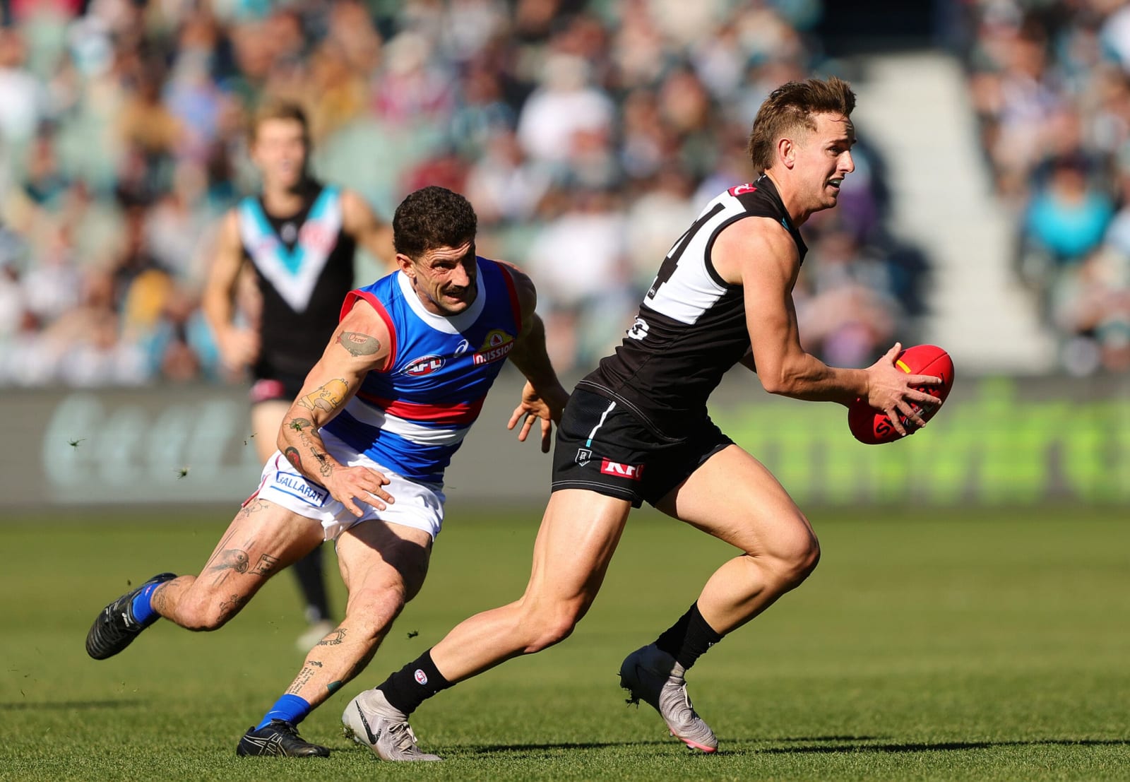 “We got bullied”: Power utility eyes size amid plans for positional switch