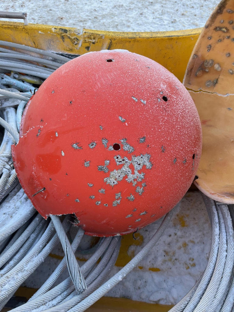 Firearms damage found near power line that failed, causing outage ...