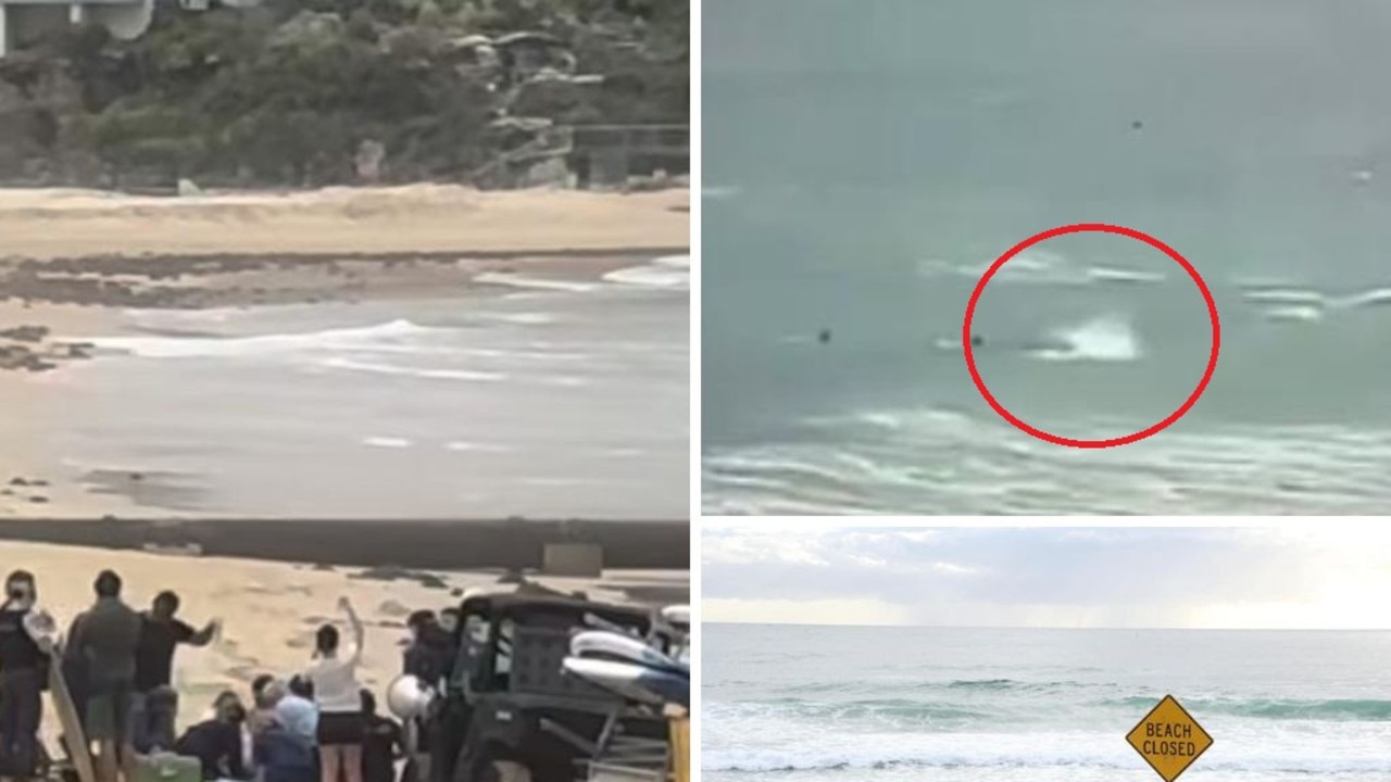 New shark attack victim named