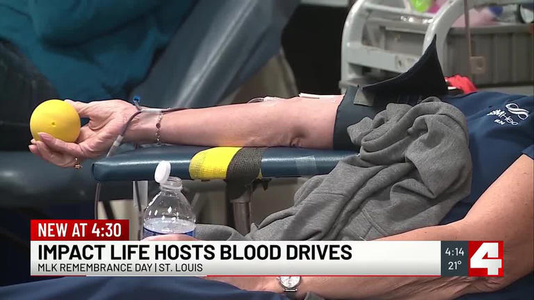 Local organizations honor Dr. Martin Luther King Jr. Day by hosting ...