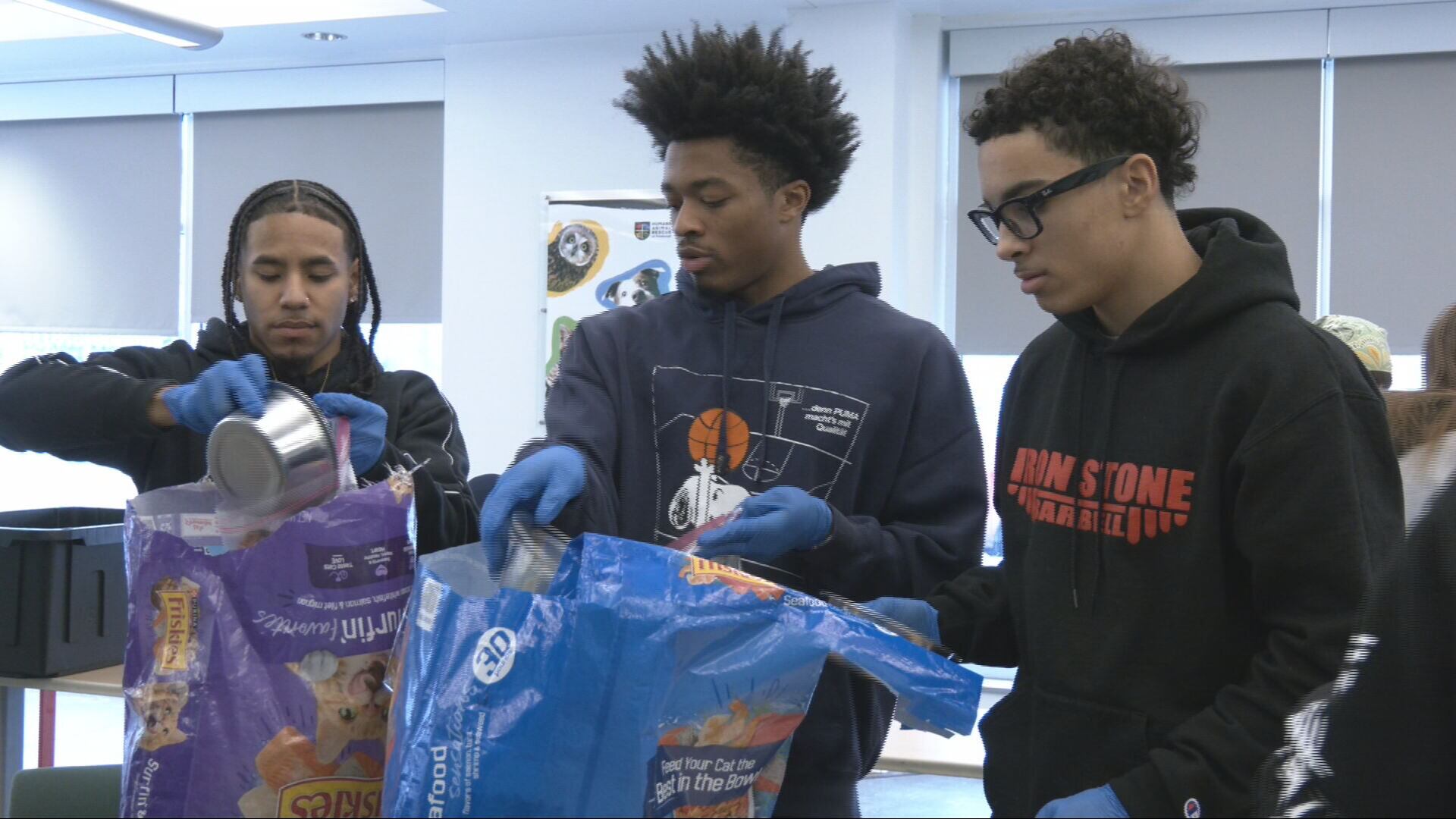 Humane Animal Rescue of Pittsburgh gets extra volunteers on Martin ...