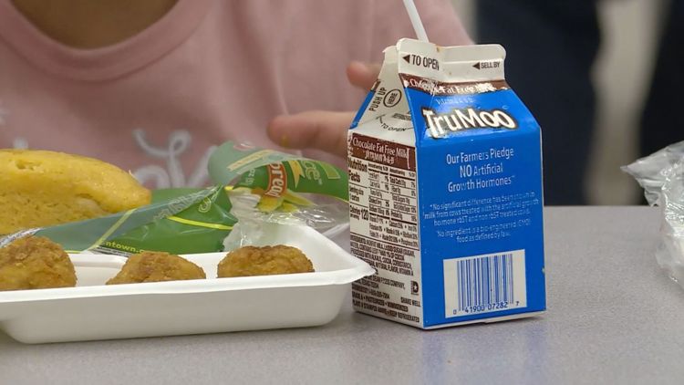 SC Dept. of Education seeks partner sites for 2026 summer meals programs
