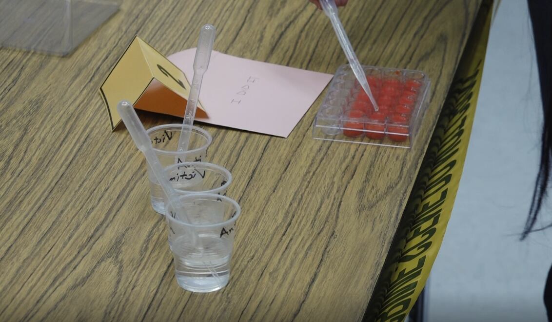 Hansen High School forensic science class investigates missing mascot