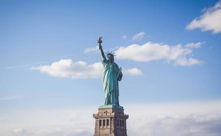 Indian man praises US for changing his life's trajectory: "I love India ...