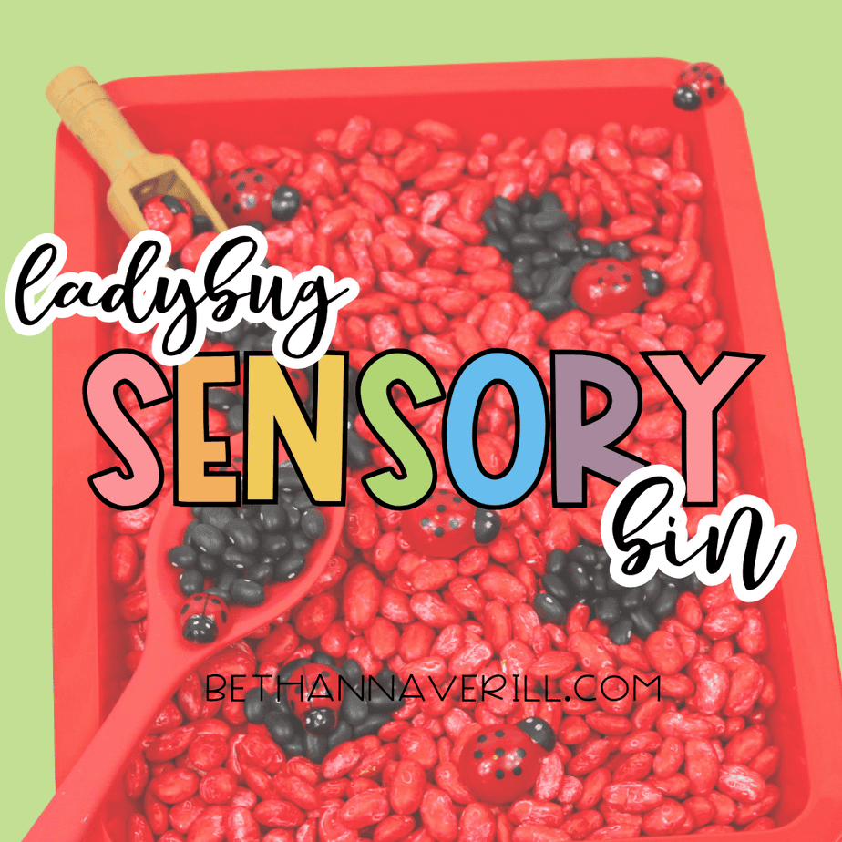 Ladybug sensory bin