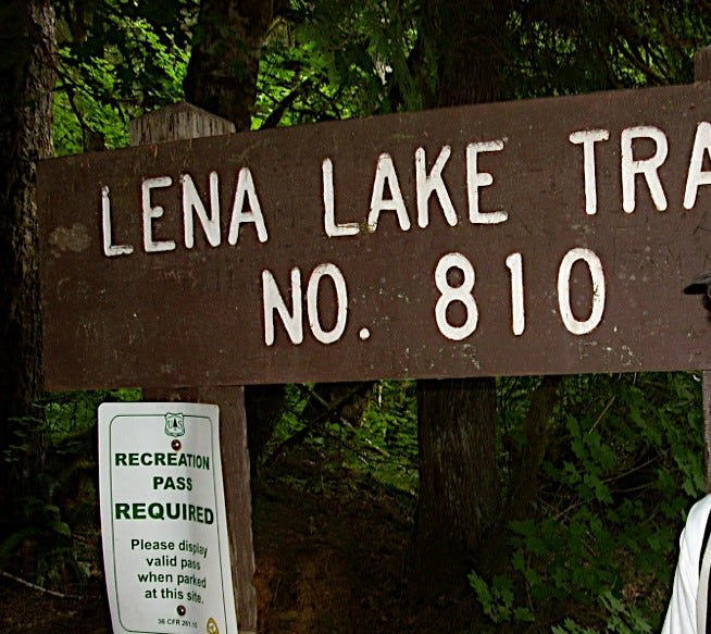 Two Kitsap women killed by falling tree on Lena Lake trail in Olympics