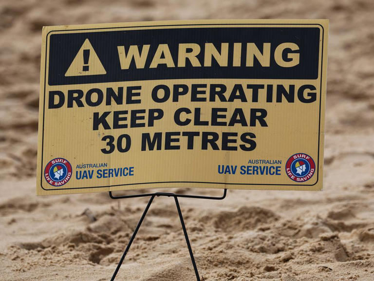 Local musician named as shark attack victim