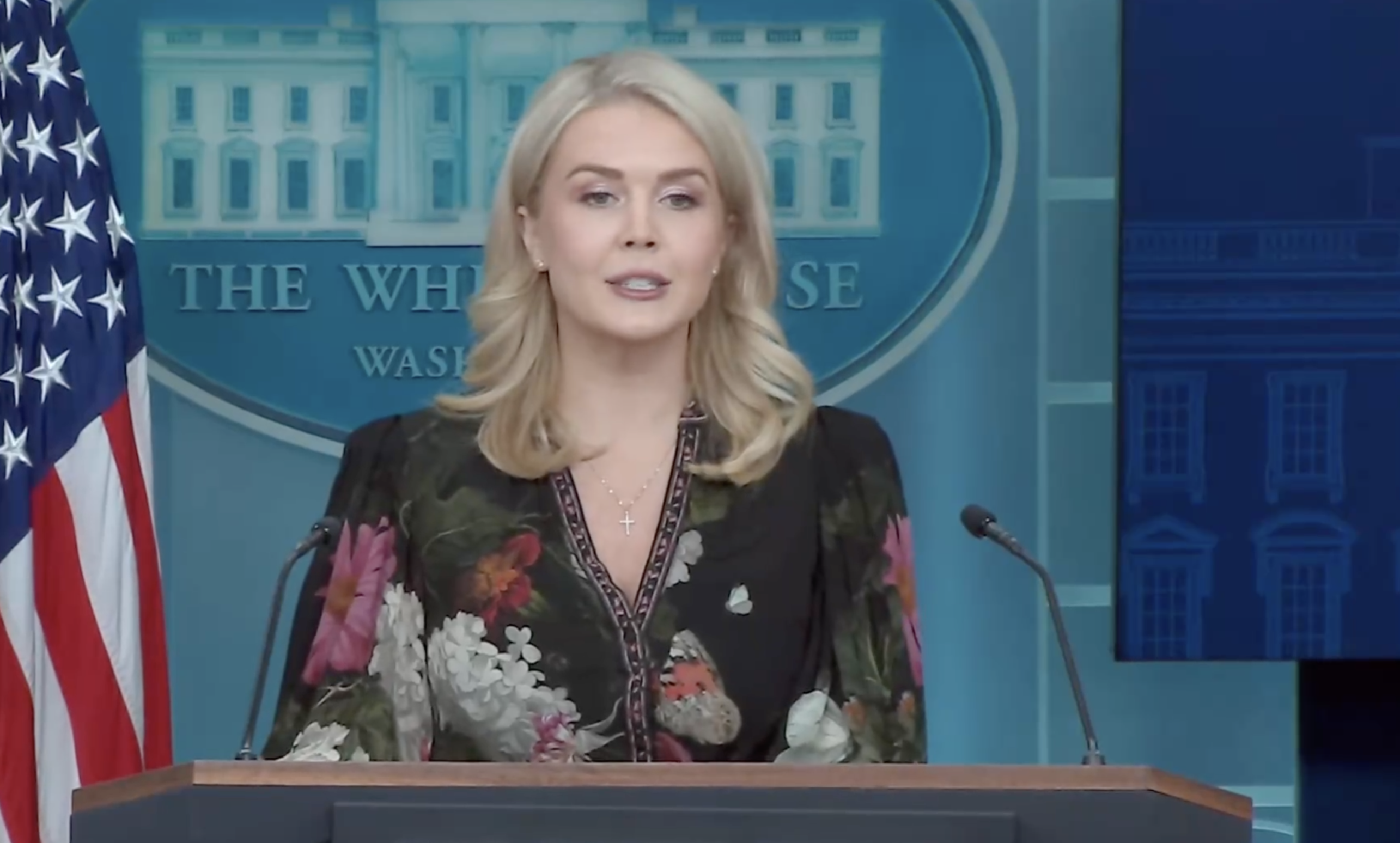 'It's a total disgrace': Karoline Leavitt puts her partisanship on ...