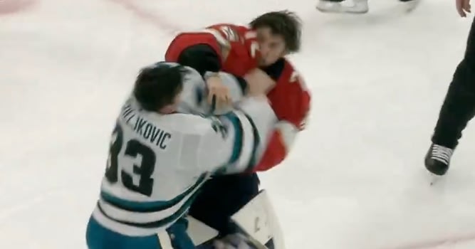Sergei Bobrovsky, Alex Nedeljkovic throw down in epic goalie fight ...