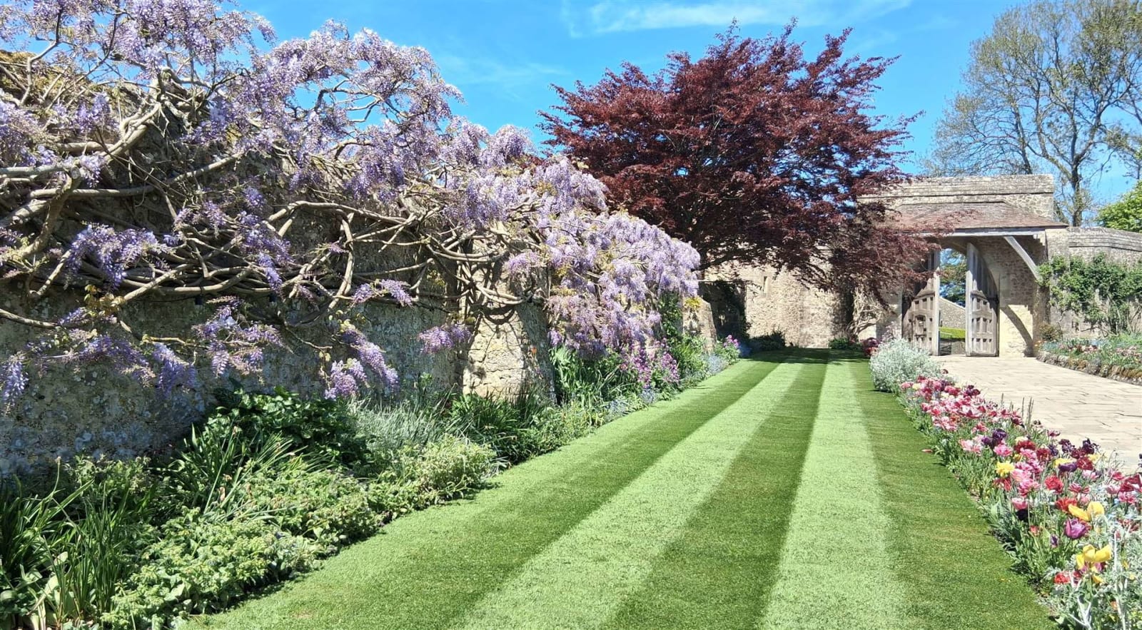 New Kent gardens open for National Garden Scheme 2026