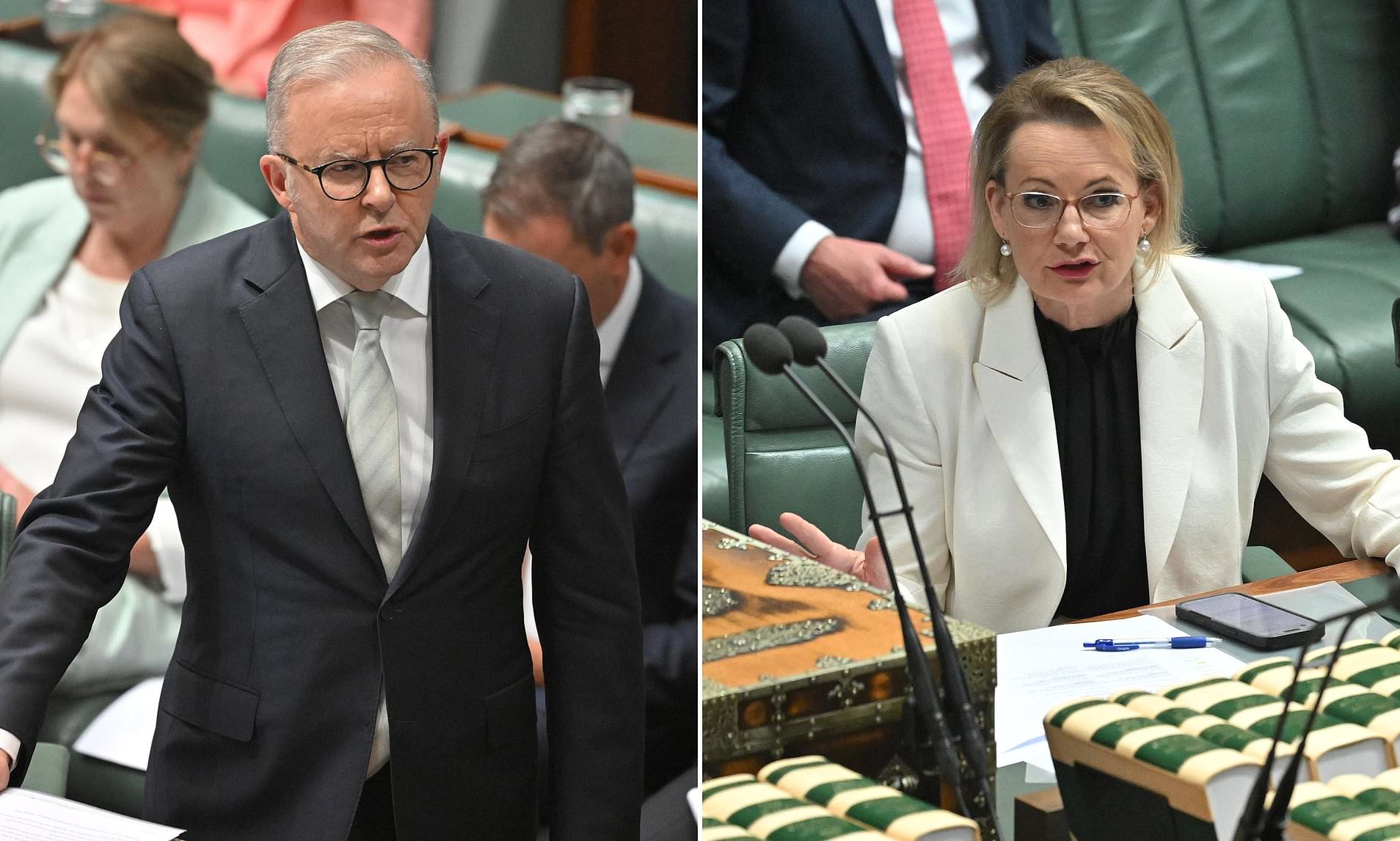 Albo explodes during Question Time after being accused of making up ...