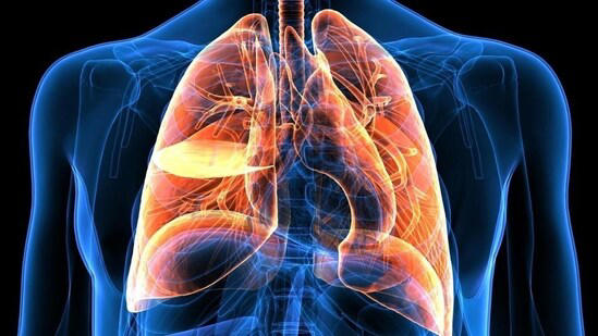 Warning signs of lung cancer: Doctors share 5 early symptoms like cough ...