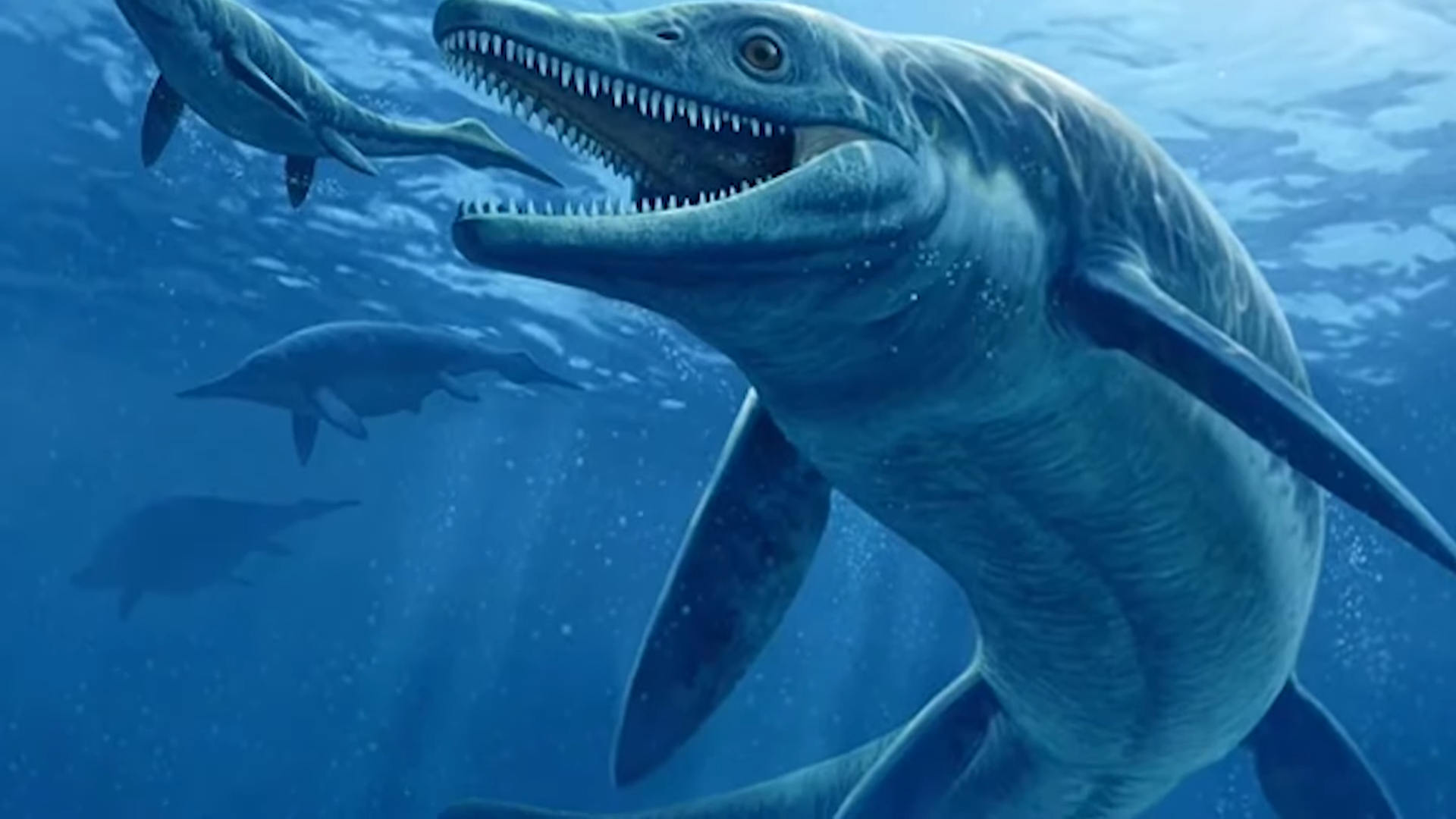 Britain’s prehistoric creatures and the fossils that still puzzle ...