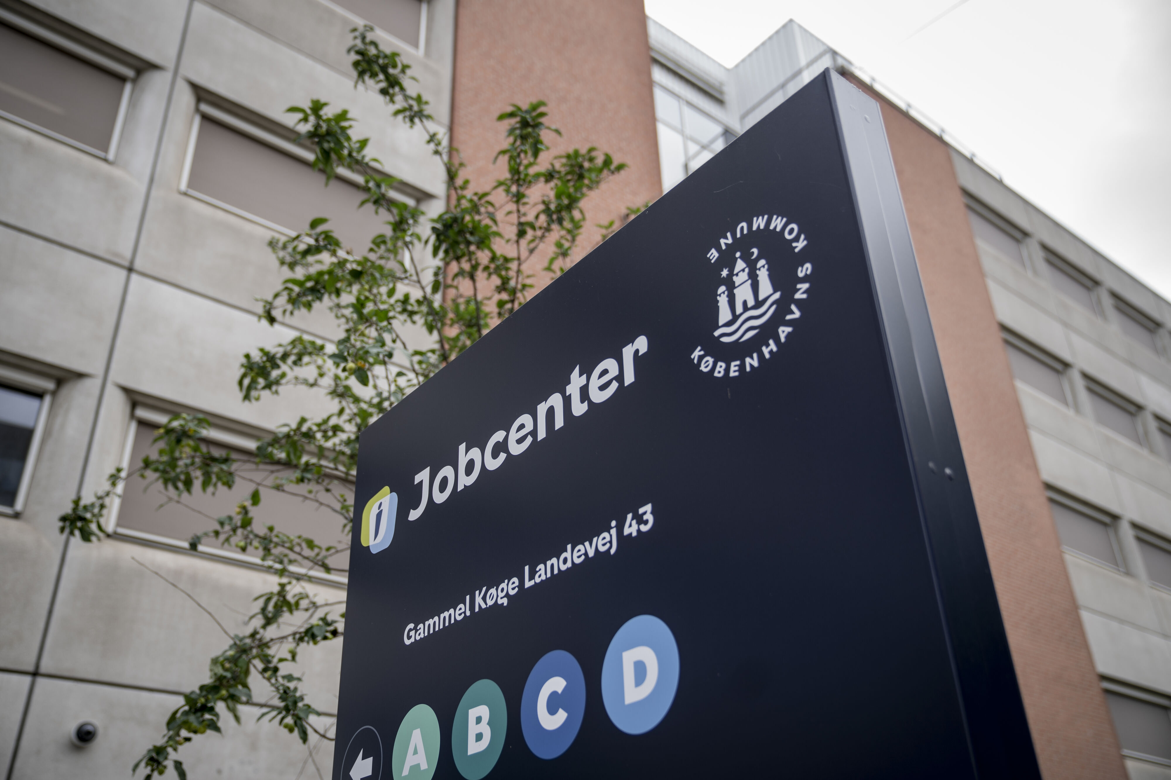 Ledigheden nåede op på tre procent i december