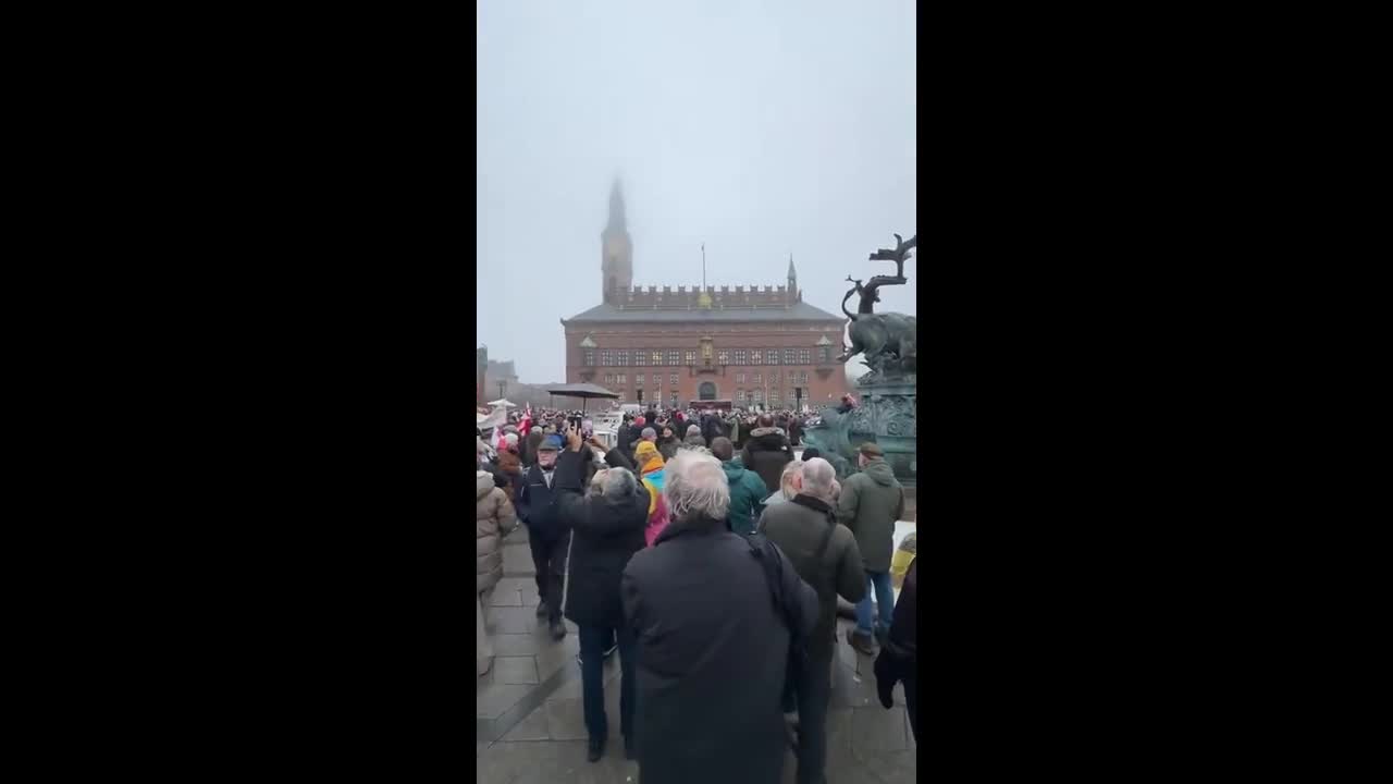 Large "Hands off Greenland" protest marches through City Hall Square in ...