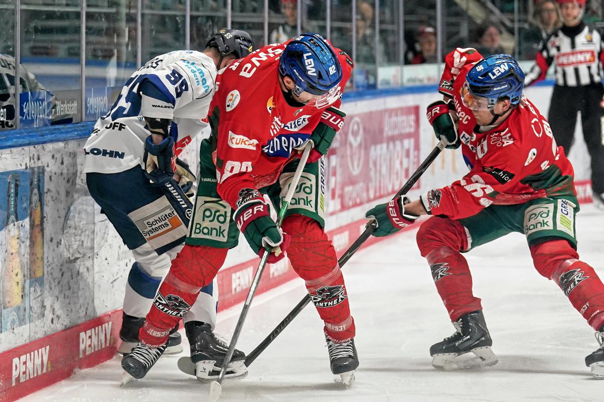 Panther verspielen erneut eine Führung