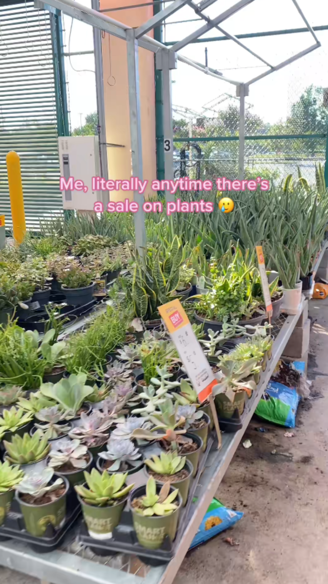 Finding the best goodies at Home Depot feels like a win