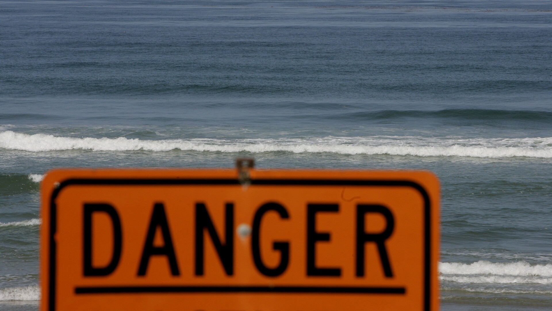 ‘An entirely sensible call’: Calls grow for shark culling for the ‘sake ...