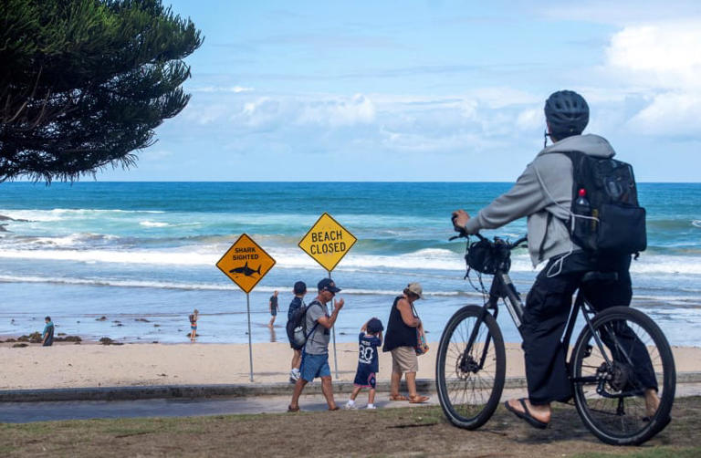 Dozens of Australian east coast beaches closed after four shark attacks ...