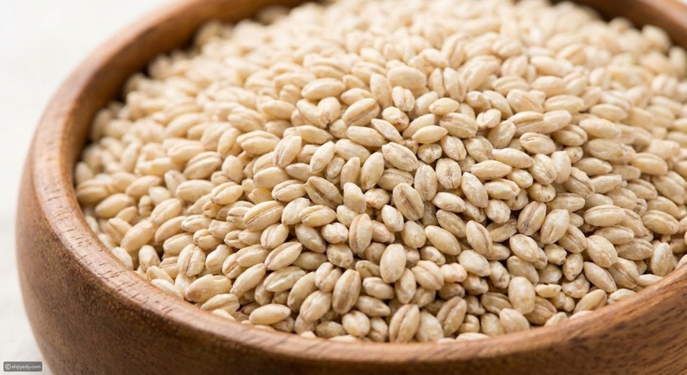 10 foods that help lower cholesterol similar to oats