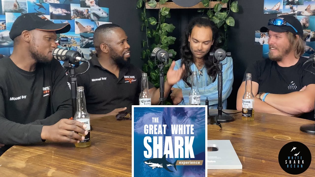 31 the cage diving crew, the great white shark experience podcast