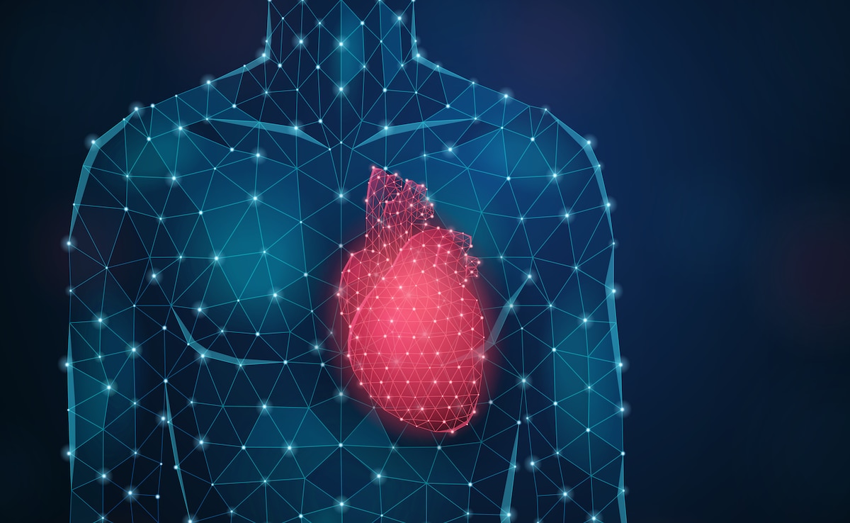 Human heart regrows muscle cells after heart attack: study