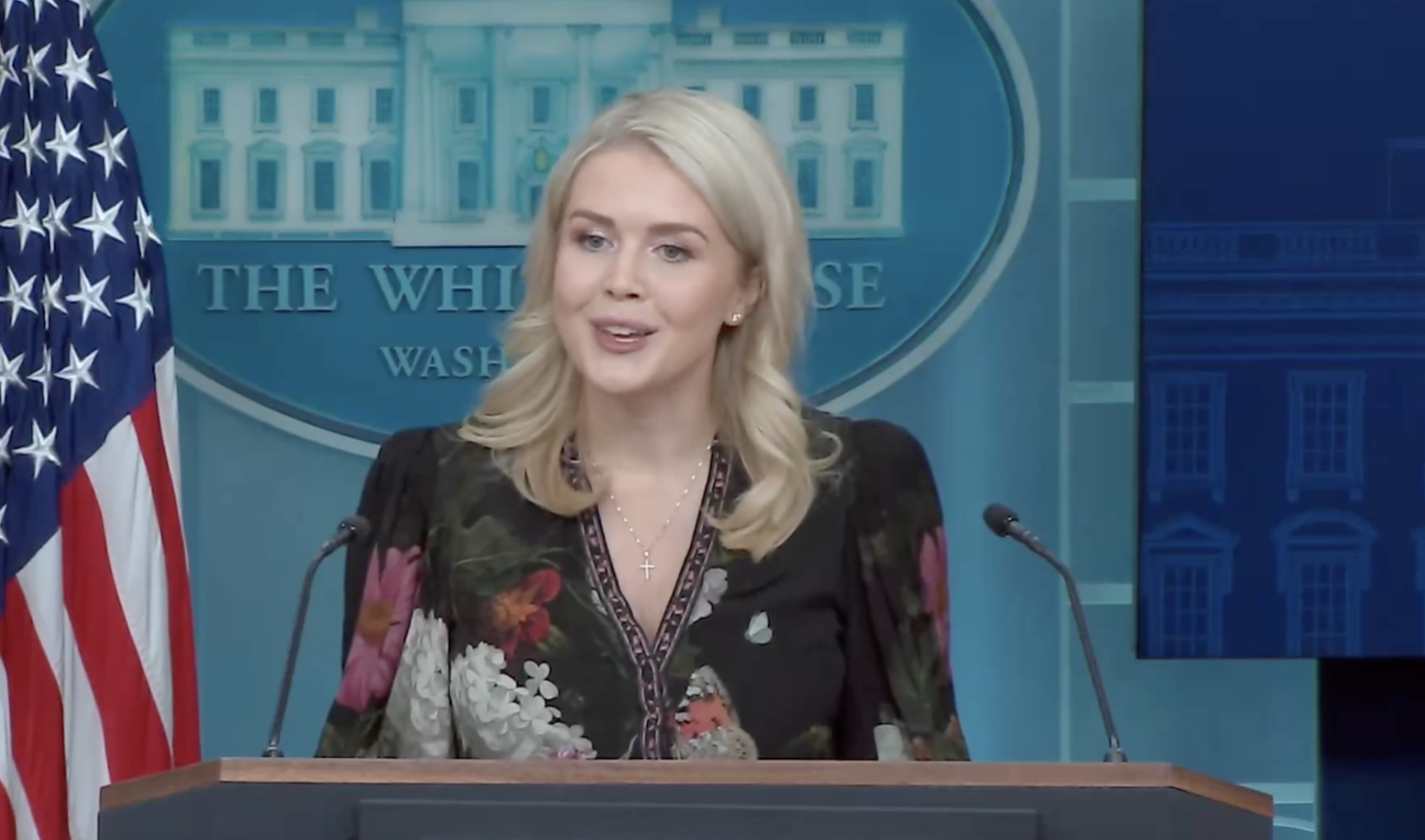 'Look at what President Trump has been able to do': Karoline Leavitt ...