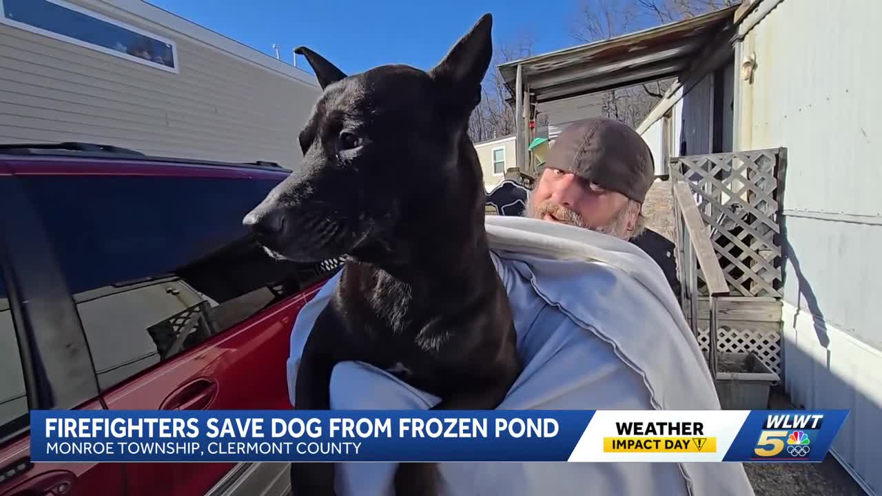 Firefighters save dog from frozen pond in Clermont County