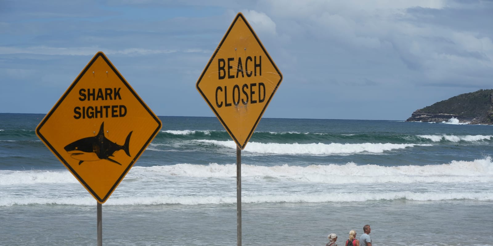 Fjärde hajattacken i Sydney på två dygn – stränder stängs