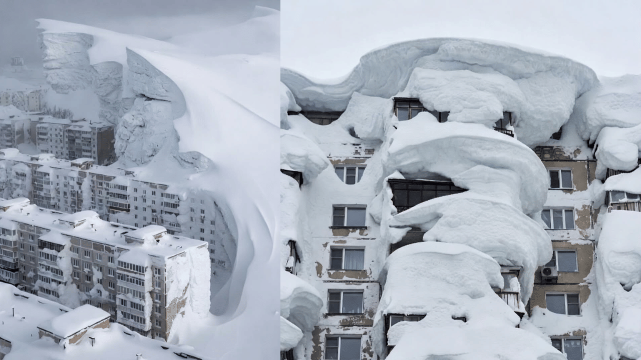‘Snow apocalypse’: Russia’s Kamchatka buried under 7 feet of snow, 146 ...