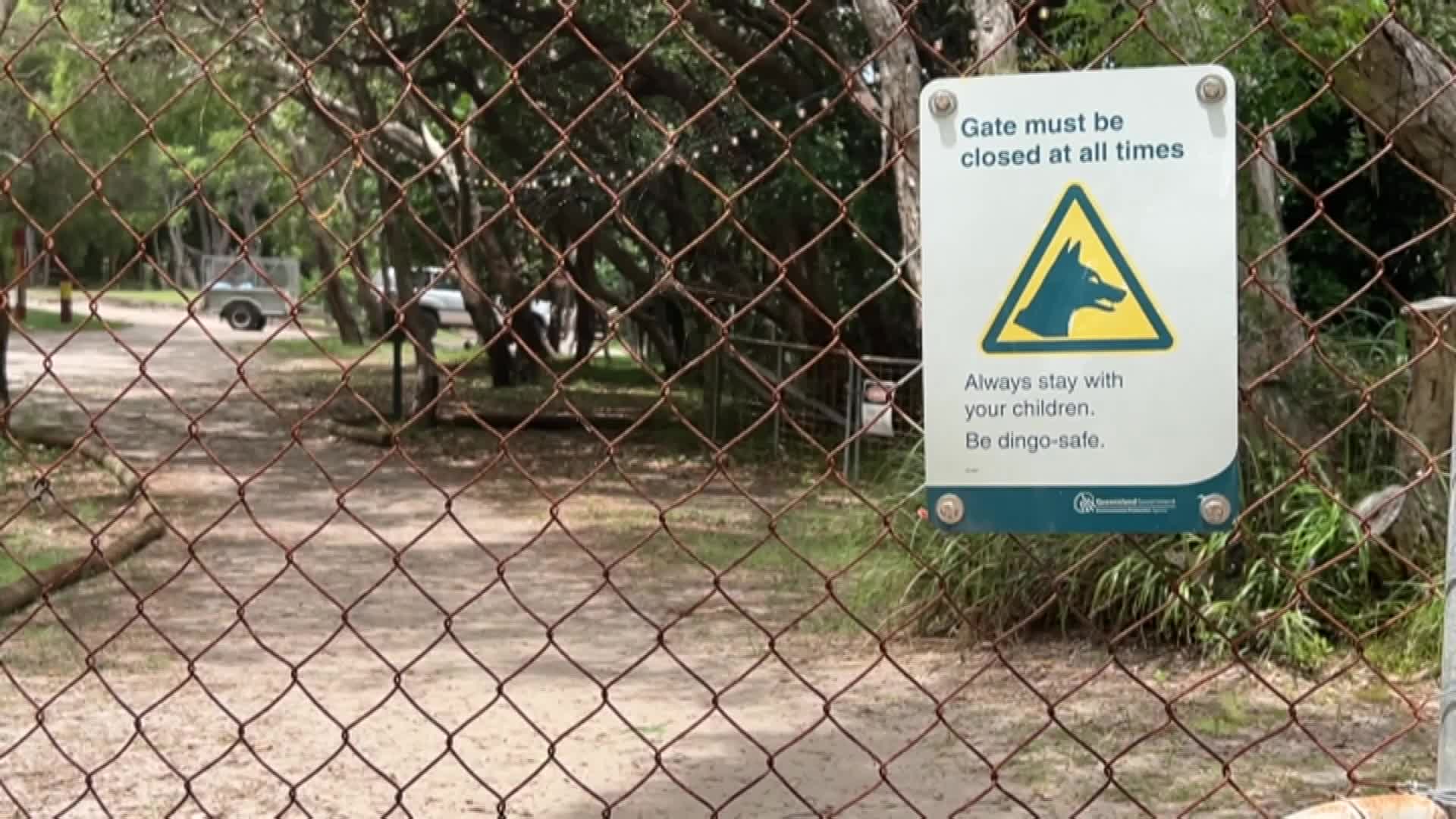 Queensland government closes camp sites and increases patrols on K’gari