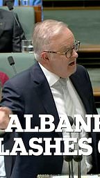 Albanese lashes out at Sussan Ley over national security claims