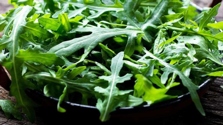What are rocket leaves? Know 8 powerful health benefits of this peppery ...