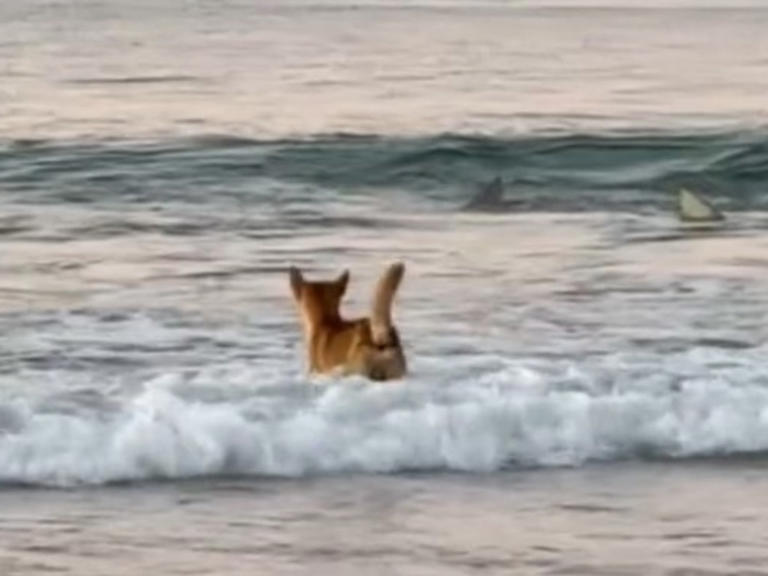 Woman found dead on island paradise named