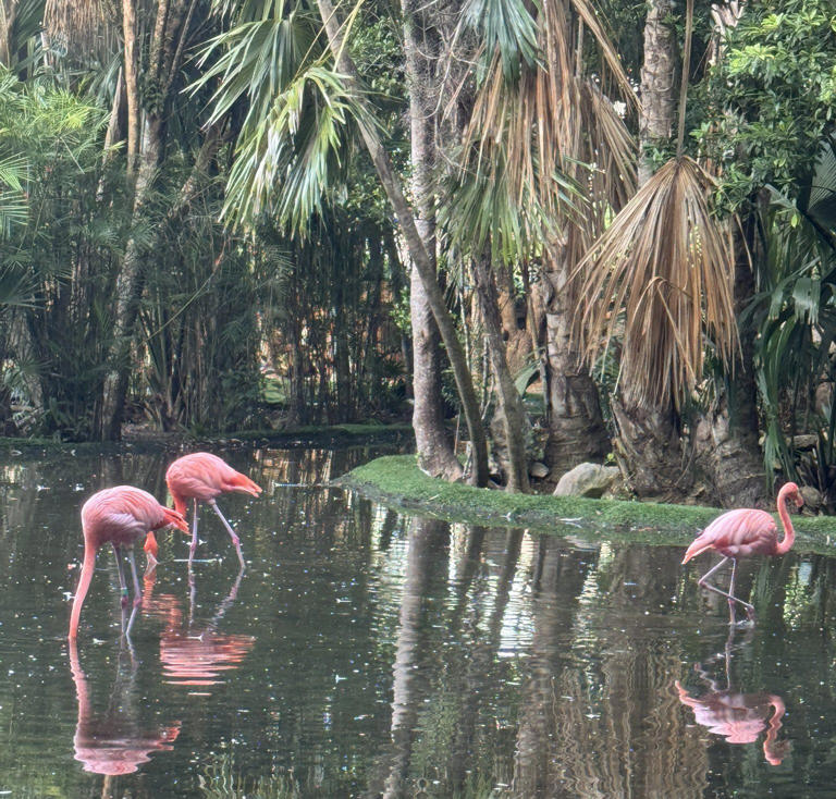From Mexico 1999 to now: The evolution of Tulum