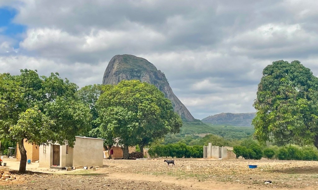 Livelihood opportunities in Zimbabwe’s communal areas: too poor to succeed?