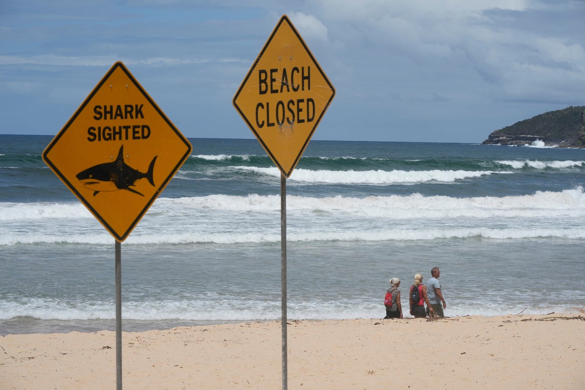 Man killed in Australia’s second fatal shark attack this year