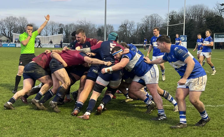 Rotherham Rugby Club will meet criteria for Champ, says CEO