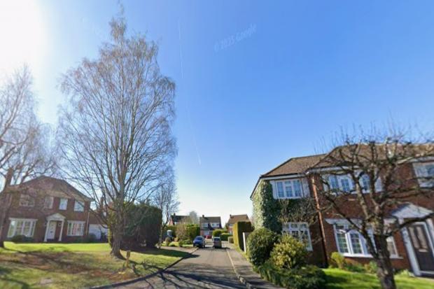 Four fire engines rush to small village following reports of fire in ...