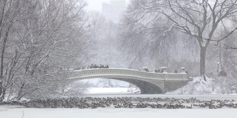 Natural-gas prices soar as temperatures drop. It could be the toughest ...