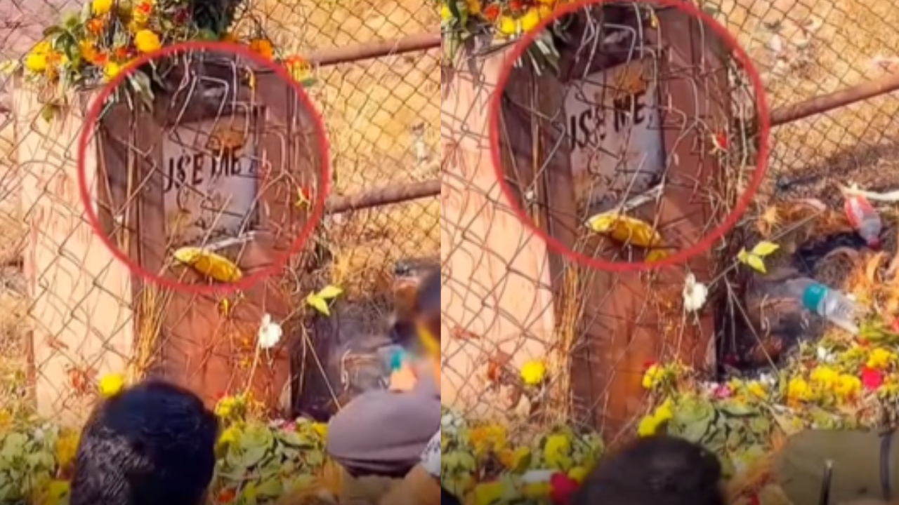 'Common sense kha hain?' Viral video shows crowd worshiping dustbin ...