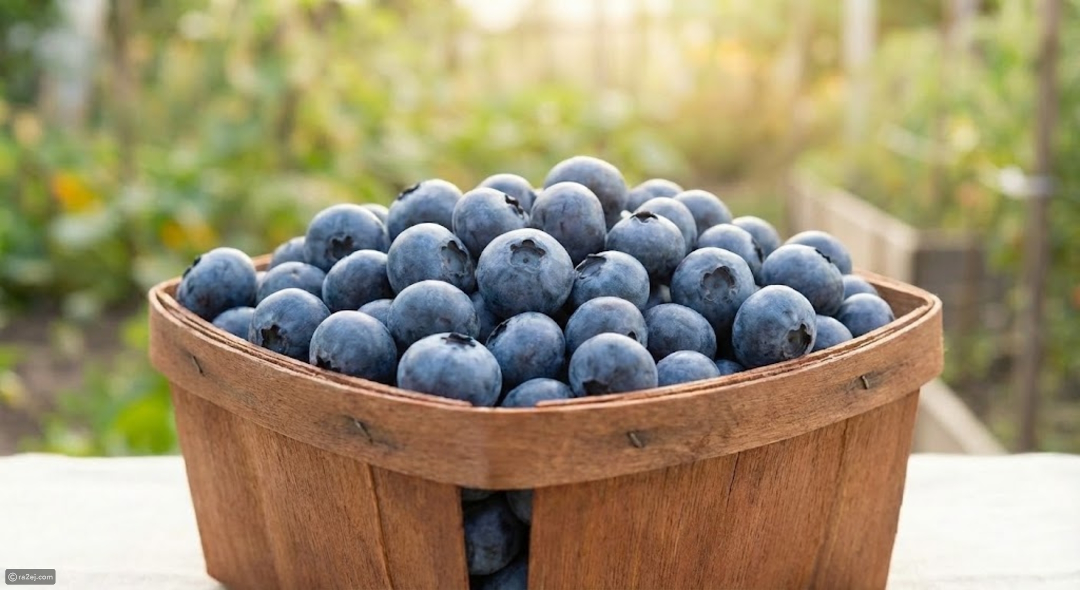 Top 10 natural foods that help cleanse kidneys
