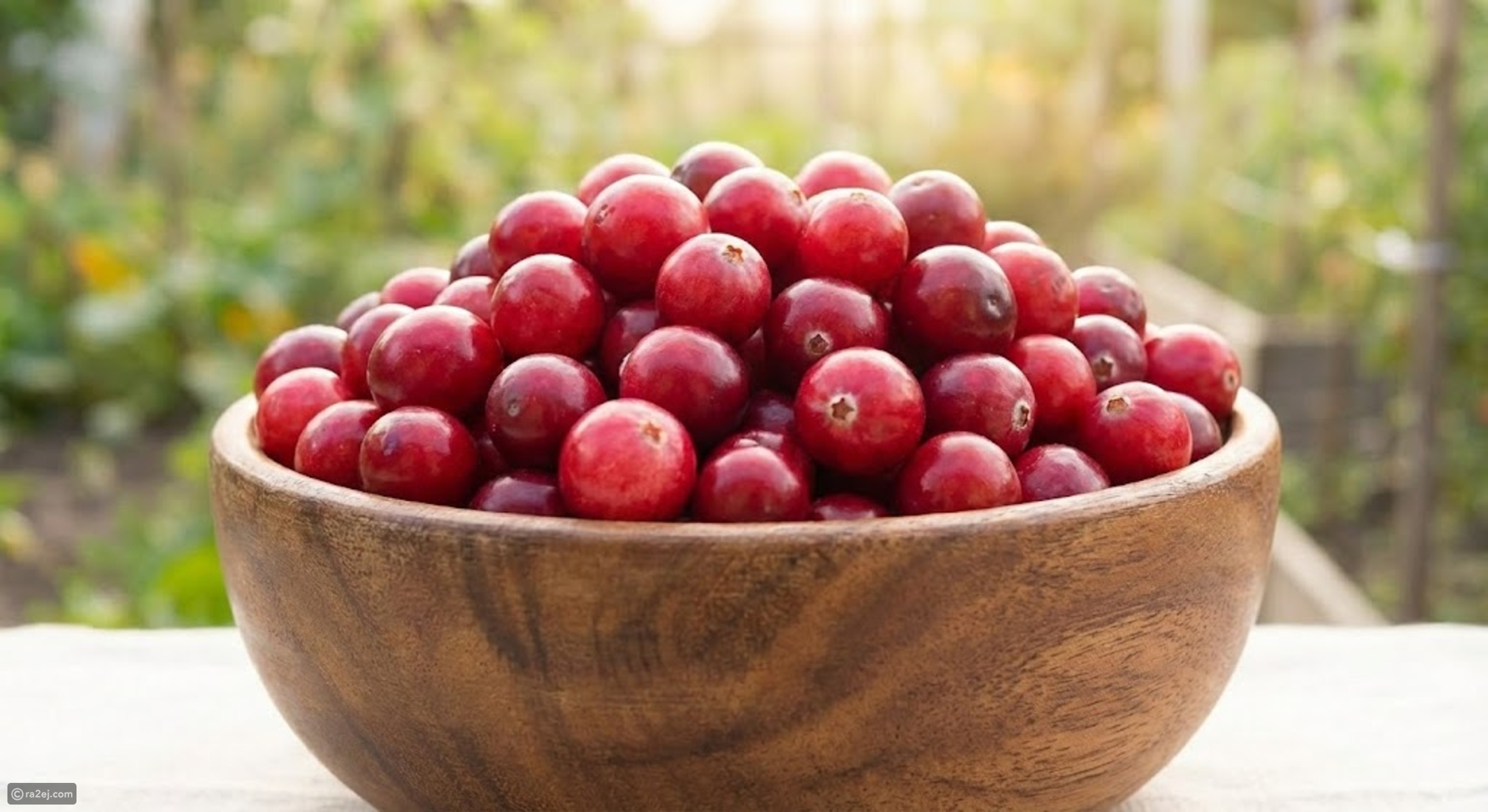 Top 10 natural foods that help cleanse kidneys