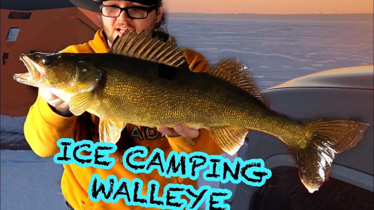 Giant walleye night fishing trip caught on flasher cam