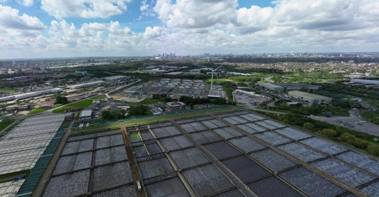 East London stinks: Residents plagued by sewage smell